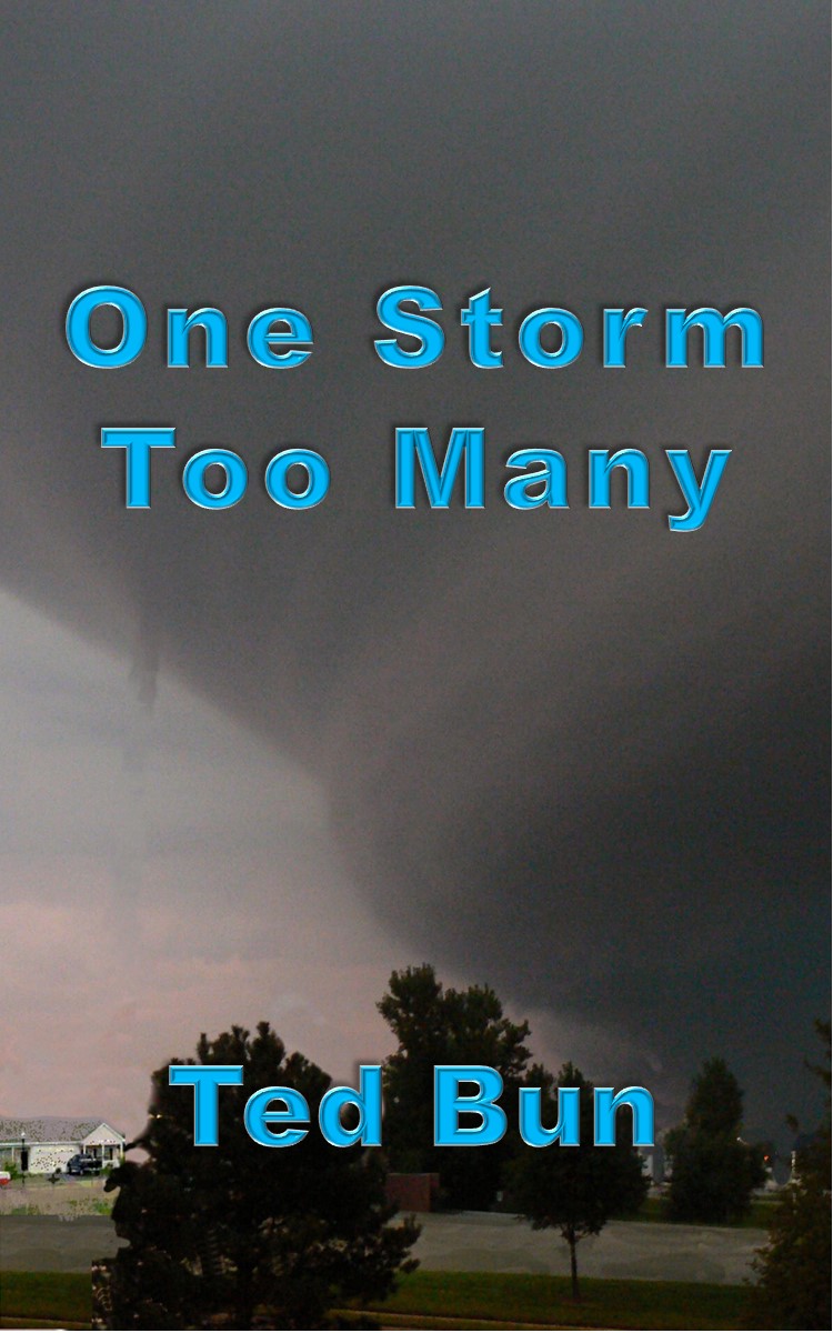 One Storm Too Many - The Ted Bun Book Shop